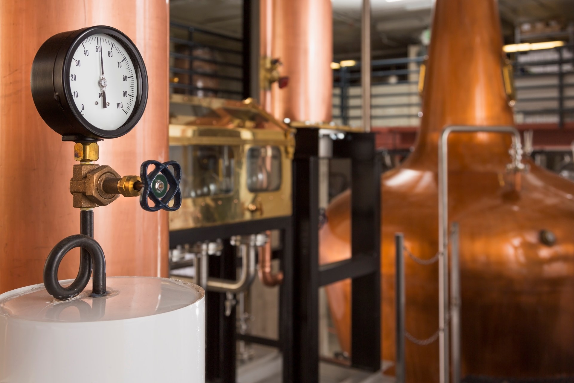Spirited industry campaign extended in line with growth | SafeWork SA